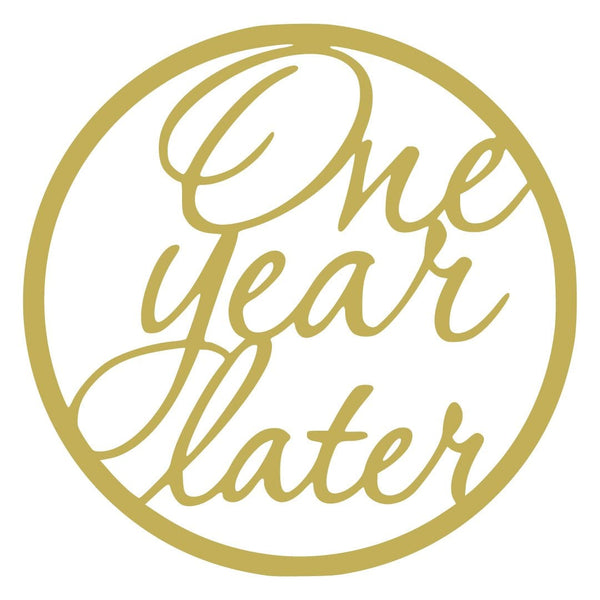 One Year Later - ZanVos